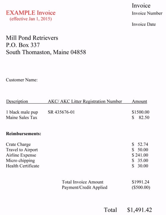 Resources • Mill Pond Retrievers • South Thomaston, ME